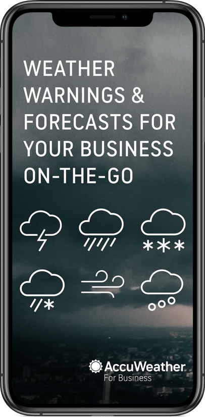 SkyGuard: Companion App