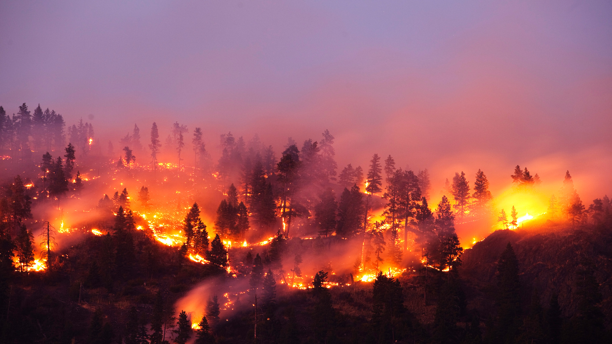 Protect your business from wildfire disruptions with AccuWeather